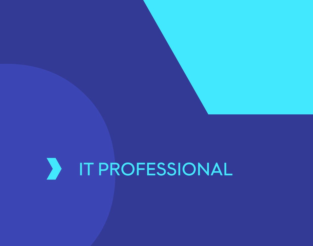 IT Professionals Career Path | ILX Group UK
